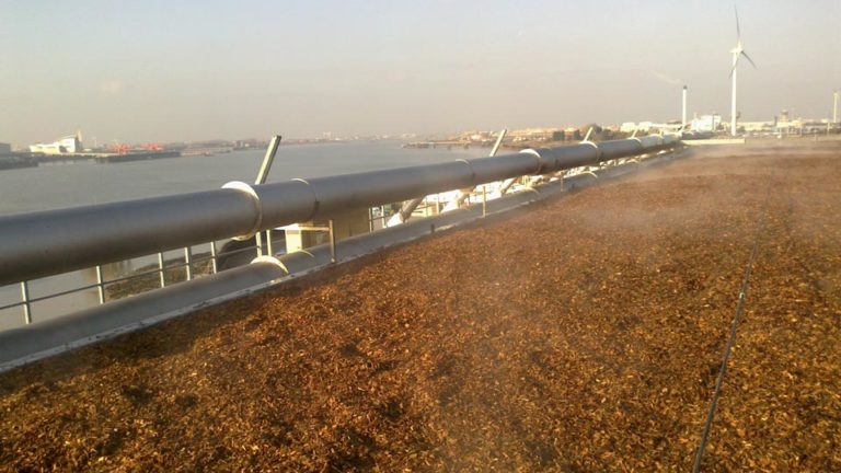 Biological Systems | Biotrickling Filters and Biofilters | OSIL